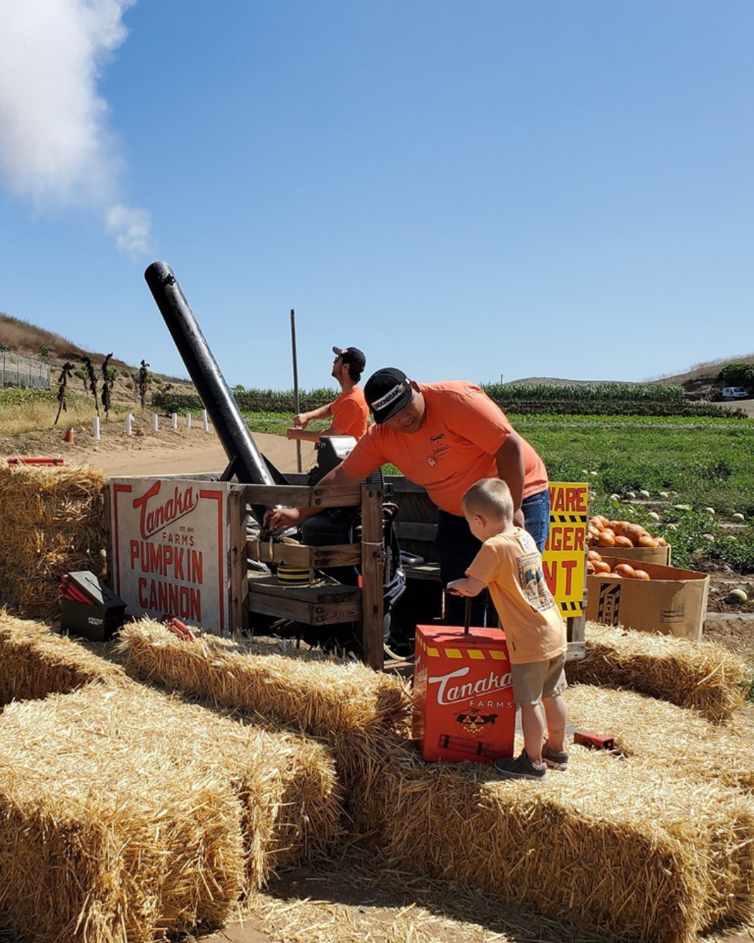 Employment – Tanaka Farms