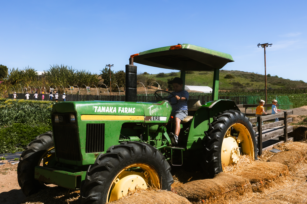 Field Trips – Tanaka Farms
